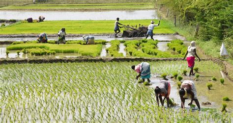 Cauvery Delta Region Youth To Stay As Rs 1 000 Crore Agro Industrial