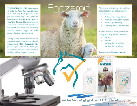About Our Microscopes — Eggzamin™ Top Rated Fec Fecal Egg Count Test