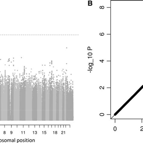 manhattan plot a and quantile quantile plot b for the genome wide