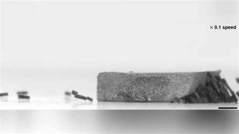 South Korea “ant Like” Robot Swarms Lift Heavy Objects And Navigate
