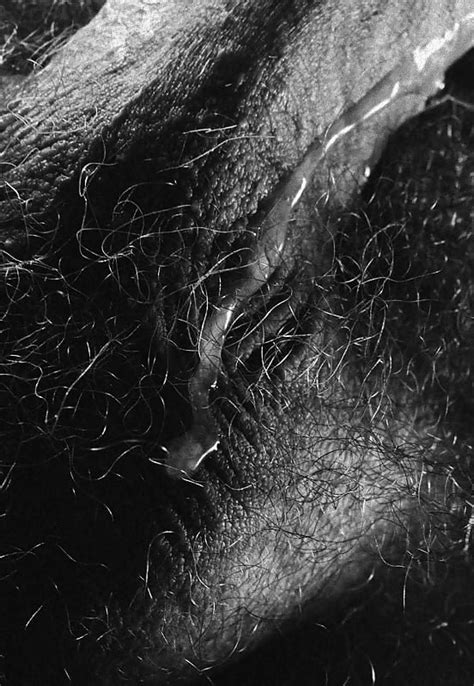 Hairy Balls Want2cds