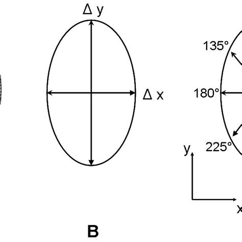quantification of aggregate invasion schematic representation of the