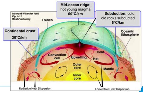 Geology Metamorphism Exam 2 Flashcards Quizlet