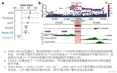 人基因组重测序系列 1 人基因组简介 Human Mutation Csdn博客