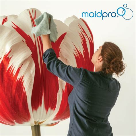 Fun To Work With These Images Nicole Robichaud