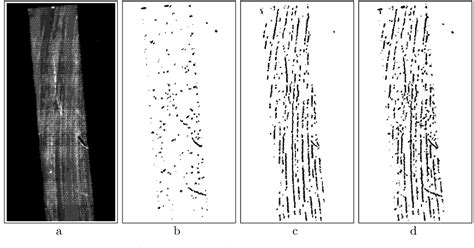 figure 3 from morphological detection and feature based classification