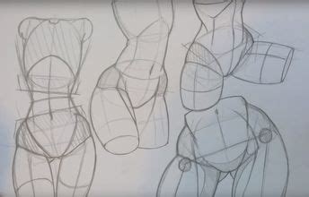 Mikeymegamega Anatomy Here Is A Video That I Find Really Helpful For Me And Hopefully For You