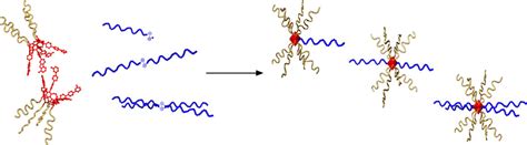 Synthesis Of Supramolecular A8bn Miktoarm Star Copolymers By Host‐guest Complexation Nitta