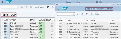 the top 20 sap it base tables in sap s 4hana xiting