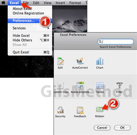 How To Enable The Developer Tab In Excel 2011