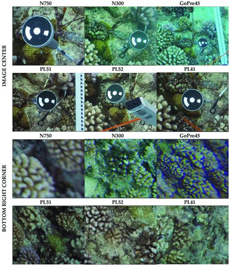 Image Details At 100 Zoom Level Download Scientific Diagram