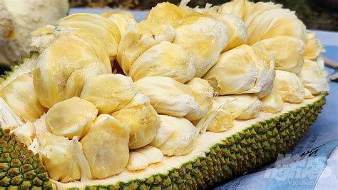 Jackfruit Images