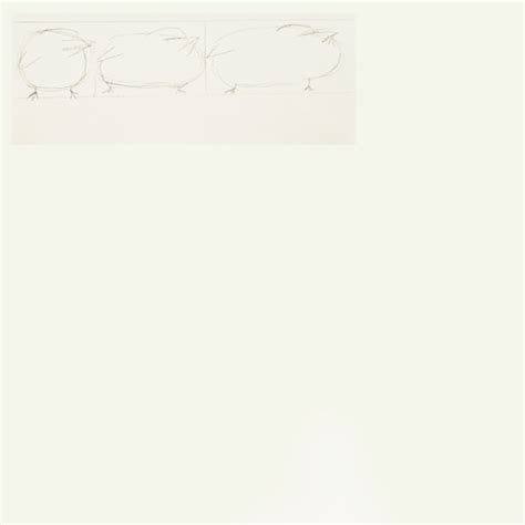 Expanding Bird Timer Live Mouseman