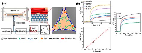 Biosensors Free Full Text From Self Assembly Of Colloidal Crystals Toward Ordered Porous