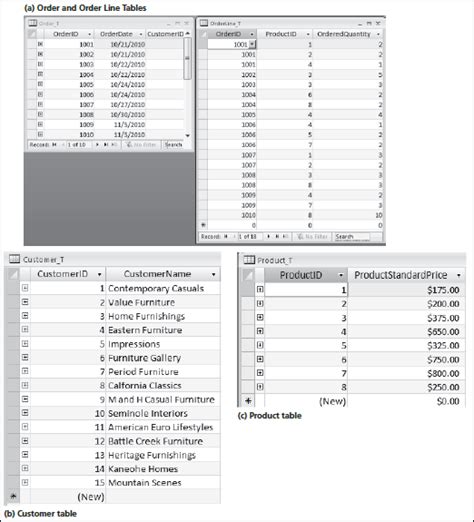 DEVELOPING A DATABASE APPLICATION DBaseeSystem