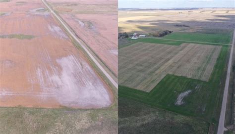 A Different Kind Of Demand Taking A Practical Look At Diverse Crop Systems Hay And Forage