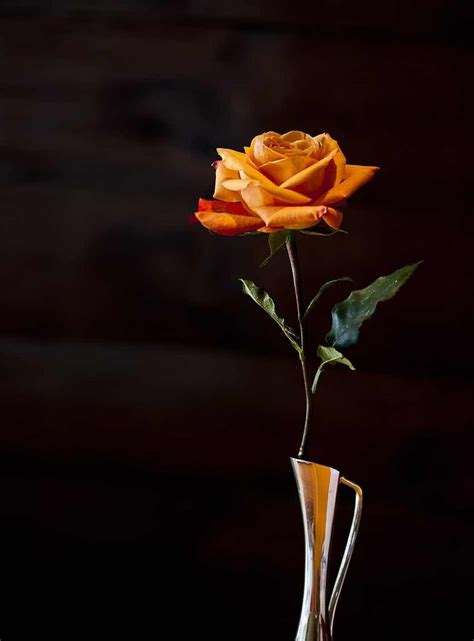 Mohamed Rahim On Twitter Beautiful Bouquet Of Flowers Most Beautiful Flowers Flowers