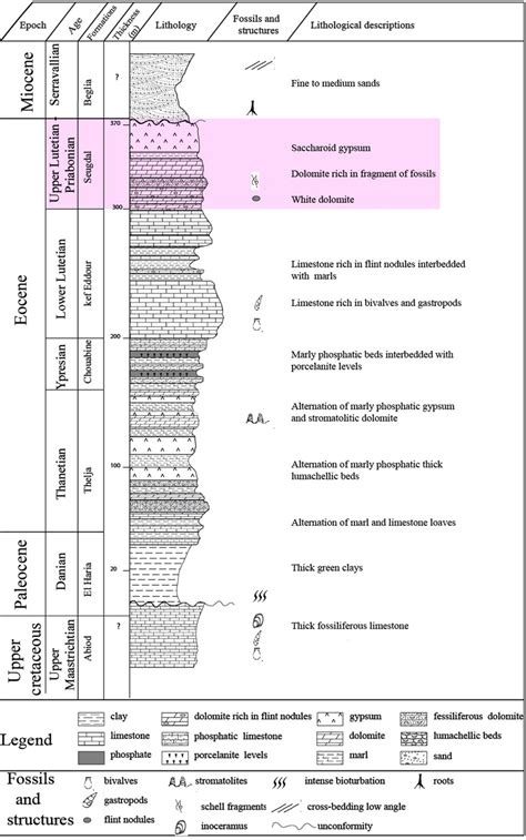 Synthetic Sedimentary Section From The Upper Cretaceous To Mio Plio
