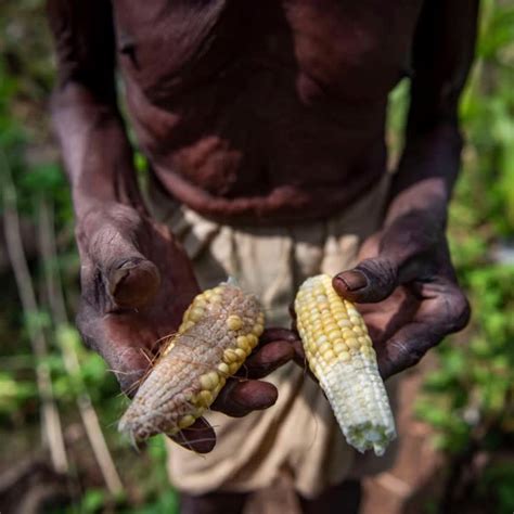 Joanna Apap On Linkedin Explained The Ipccs Synthesis Report