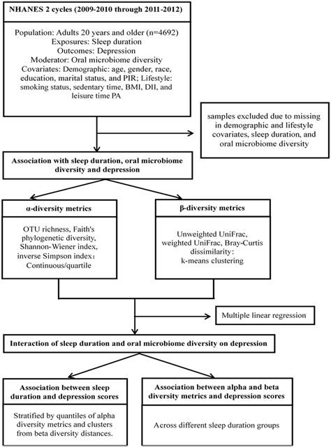 Schematic Diagram Of Data Preprocessing And Analytic Methods