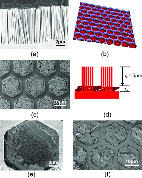 Ps Nanopillar Arrays A Scanning Electron Microscopy Sem Image Of