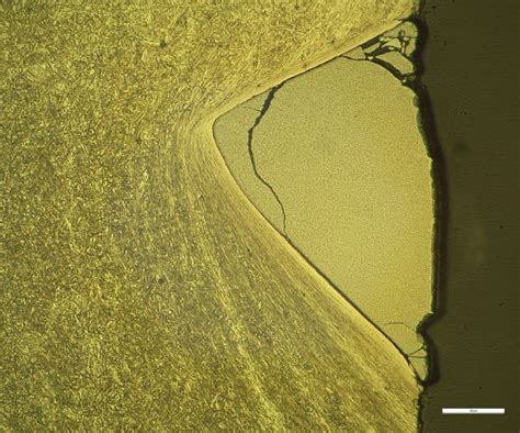 Farshad Ghadimi On Linkedin Metallurgy Metallurgy Microstructure Microstructure