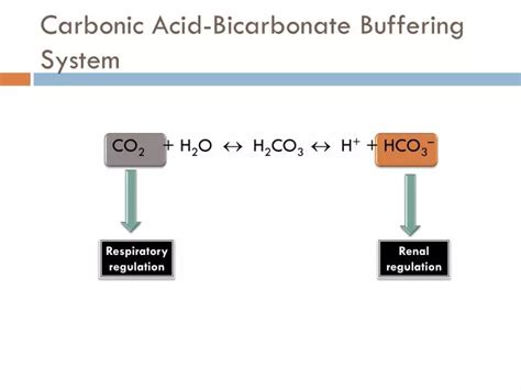 Buffer System