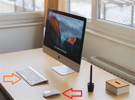 What Are Different Types Of Input Devices With Examples