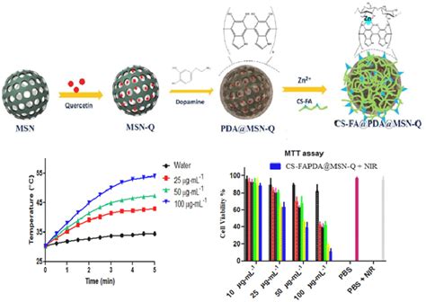 Folate Receptor Targeted Chitosan And Polydopamine Coated Mesoporous Silica Nanoparticles For
