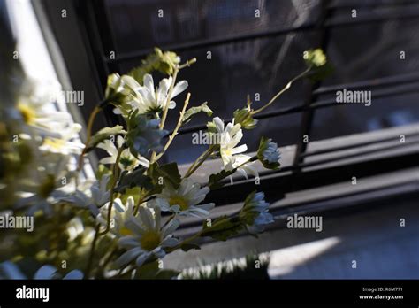 Distorted Effect Hi Res Stock Photography And Images Alamy