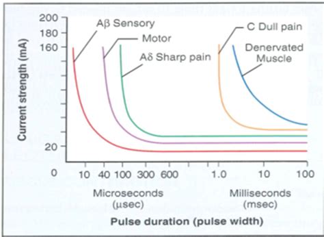 Procedures Final Flashcards Quizlet