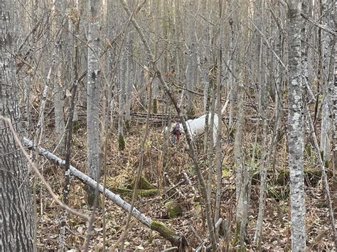 Girl Meets Merle Added A New Photo — In Girl Meets Merle