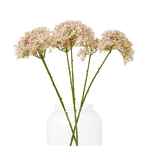 Pink Crown Hydrangea Stem Wholesale By Hill Interiors