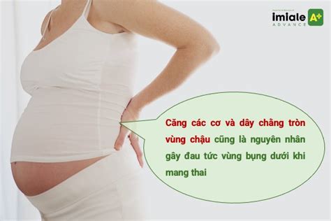 B B U B Au B Ng L Do U C Ch X Tr An To N