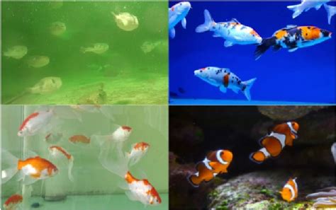 Sample Graph Of The Dataset Download Scientific Diagram