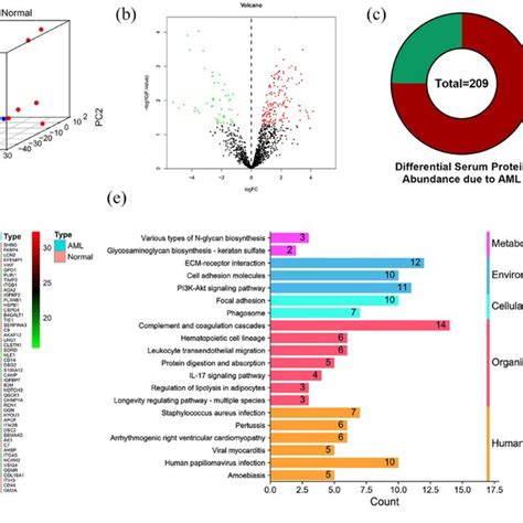 Proteomics Analysis Reveals Differential Protein Expression In The Bone