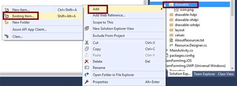 How To Add An Image In Xamarin Forms Application For Android And UWP
