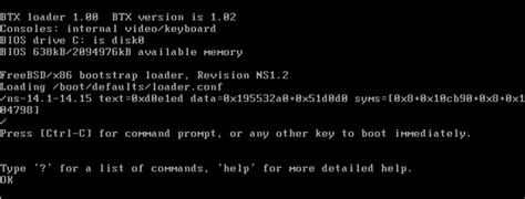 Manually Adjust NetScaler VPX Disk Space Public Private Cloud