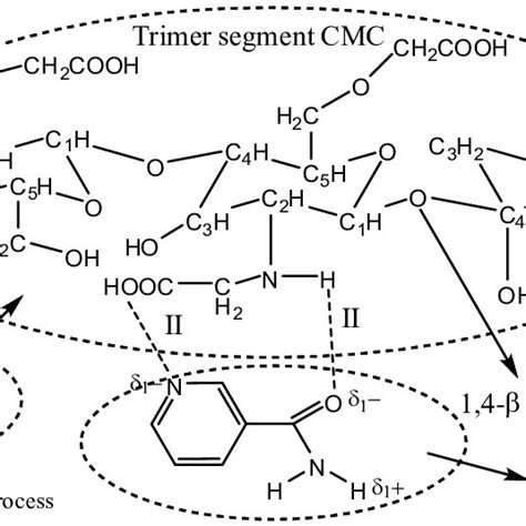 The Intermolecular Interaction Ii And Release Process Download