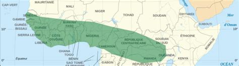 The Complete Ball Python Care Guide For Beginners