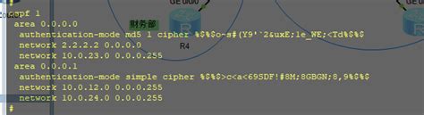 配置ospf的认证 ospf认证配置 csdn博客