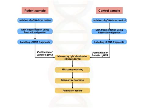 6 types of microarray based genetic testing genetic education