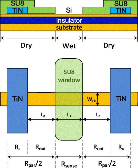 Schematic Cross Section And Plan Views Of The Polysilicon Nanoribbon Download Scientific