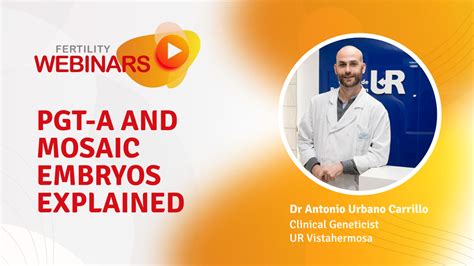 Pgt A And Mosaic Embryos Explained