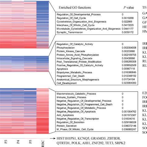 K Means Clustering Of Differentially Expressed Genes Genes That Were Download Scientific