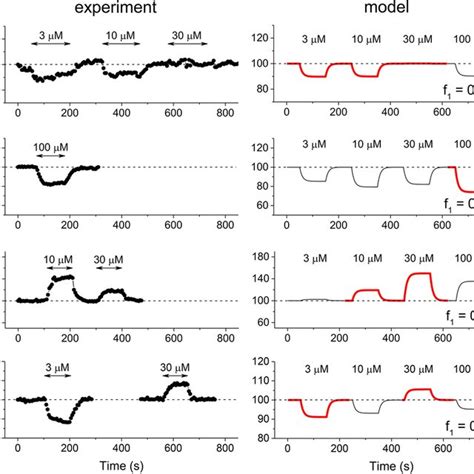Simulations Showing Ability Of The Mathematical Model To Reproduce
