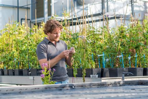 Potato Breeding A European Approach Part Ii Spud Smart