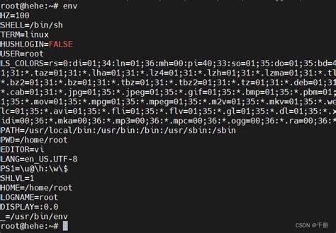 解决ls命令没有颜色的问题busybox Ls有颜色ls没颜色 Csdn博客