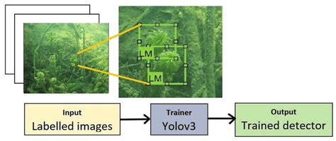 Training A Detector Download Scientific Diagram