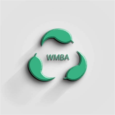 მზექალა შანიძე სომხური და ქართული ანბანების მსგავსებებსა და განსხვავებებზე მზექალა შანიძე